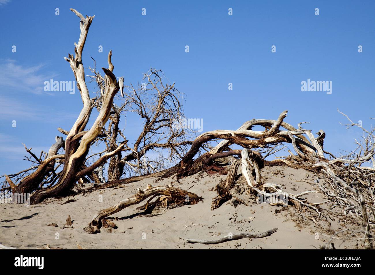Desert tourist attraction hi-res stock photography and images - Alamy