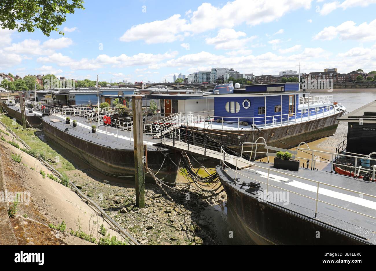 Houseboats on Cheyne Pier, Chelsea, London, UK. A famously exclusive ...