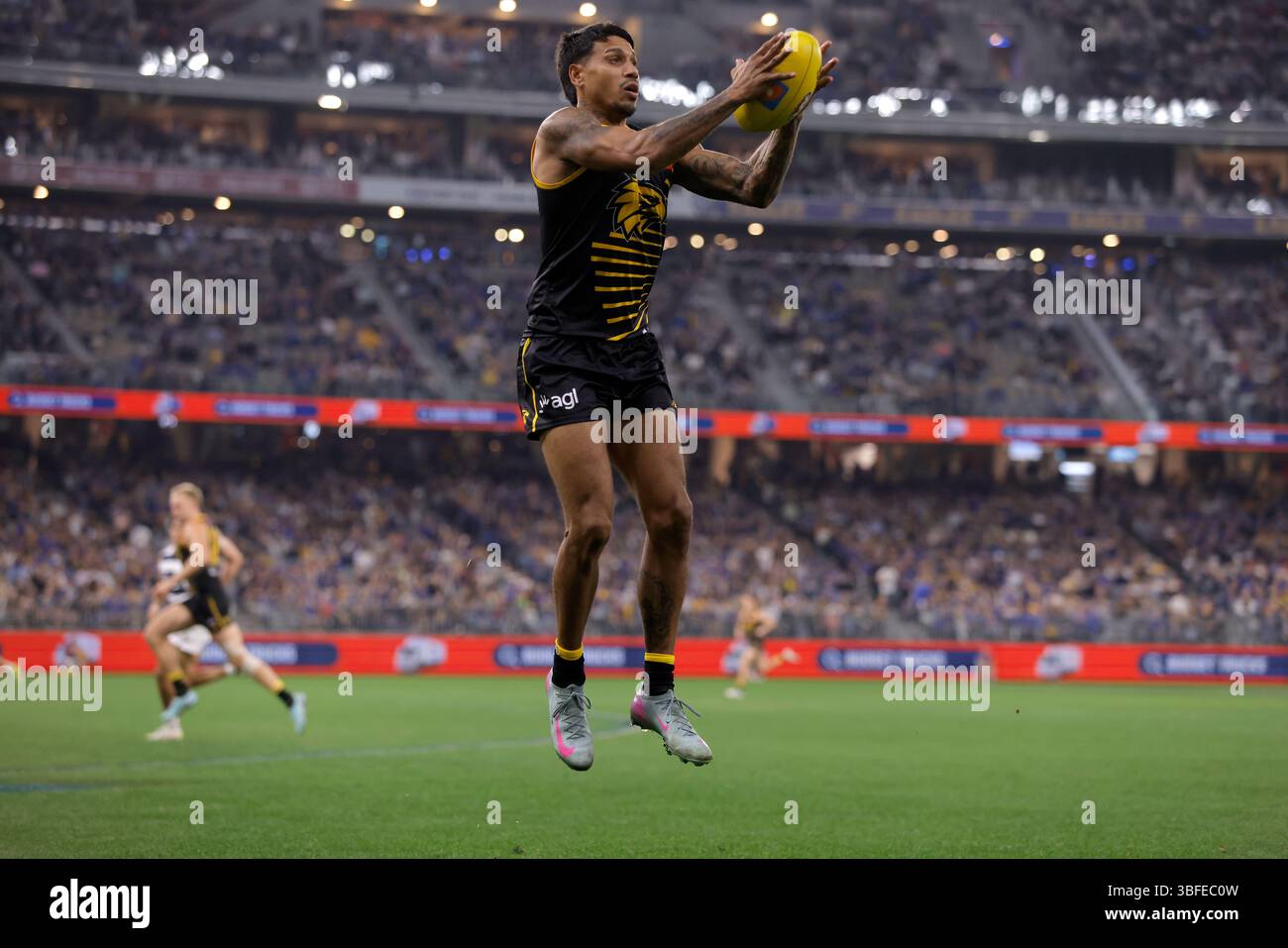 Tim Kelly of the Eagles marks the ball during the AFL Round 12 match ...