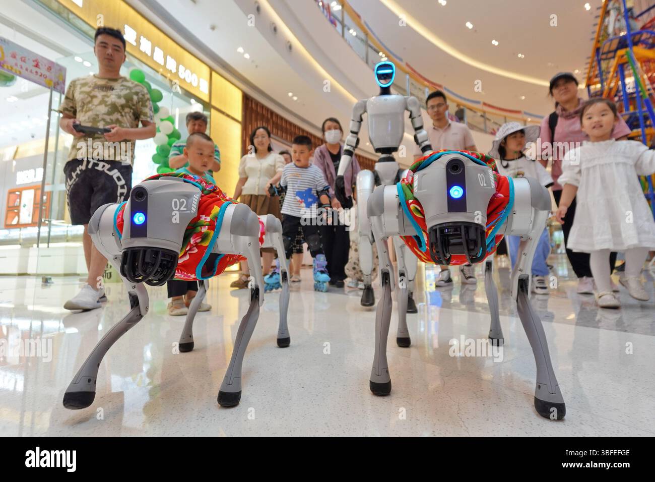YANTAI, CHINA - JUNE 1, 2025 - People watched a Unitree GO2 robot dog ...