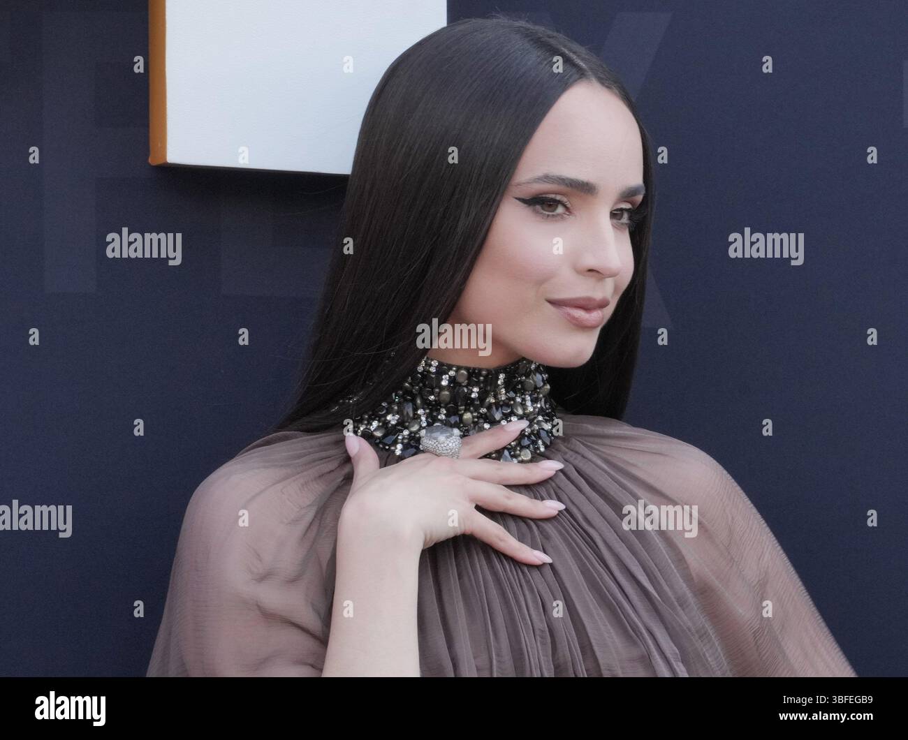 Los Angeles, USA. 31st May, 2025. Sofia Carson arrives at the Netflix TUDUM 2025: The Live Event ...