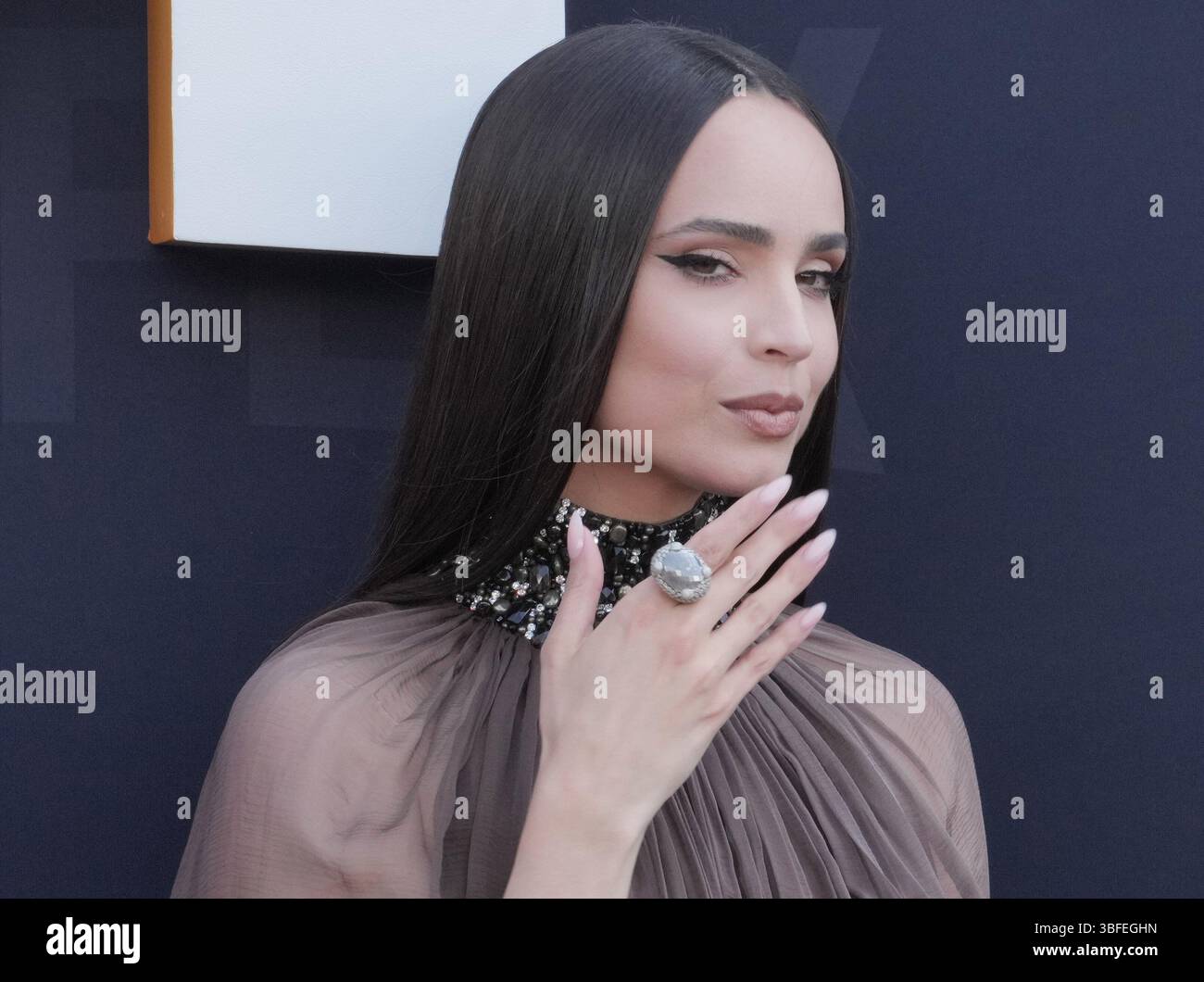 Los Angeles, USA. 31st May, 2025. Sofia Carson arrives at the Netflix TUDUM 2025: The Live Event ...