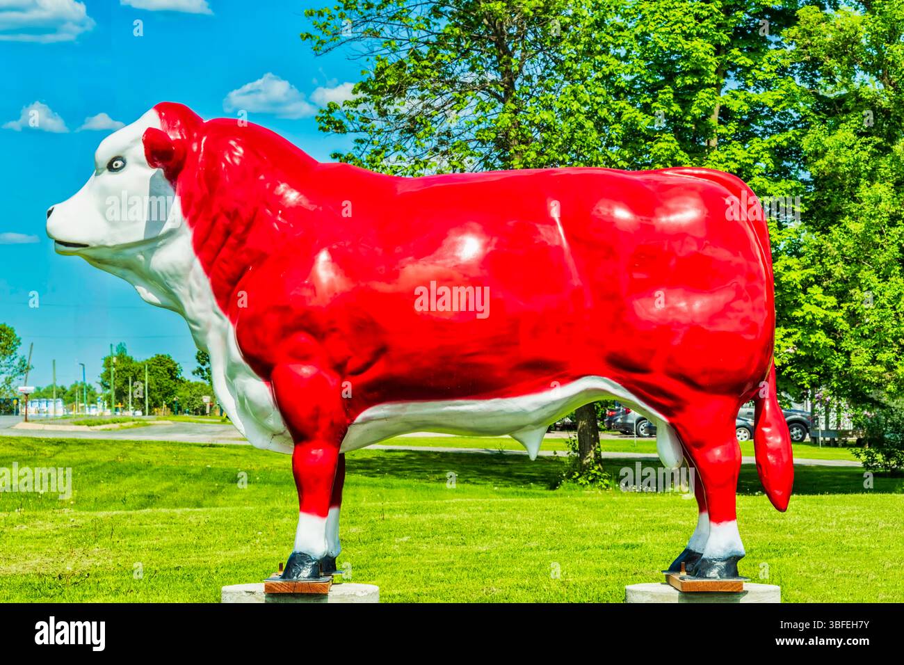 L'Orignal Packing Meat Shop - Cow display Stock Photo - Alamy