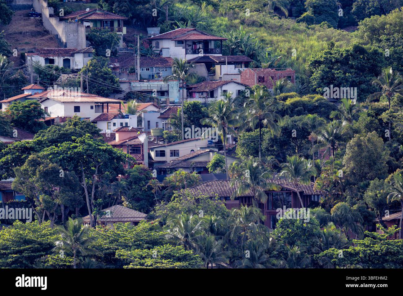 Roofs houses in jungle hi-res stock photography and images - Alamy