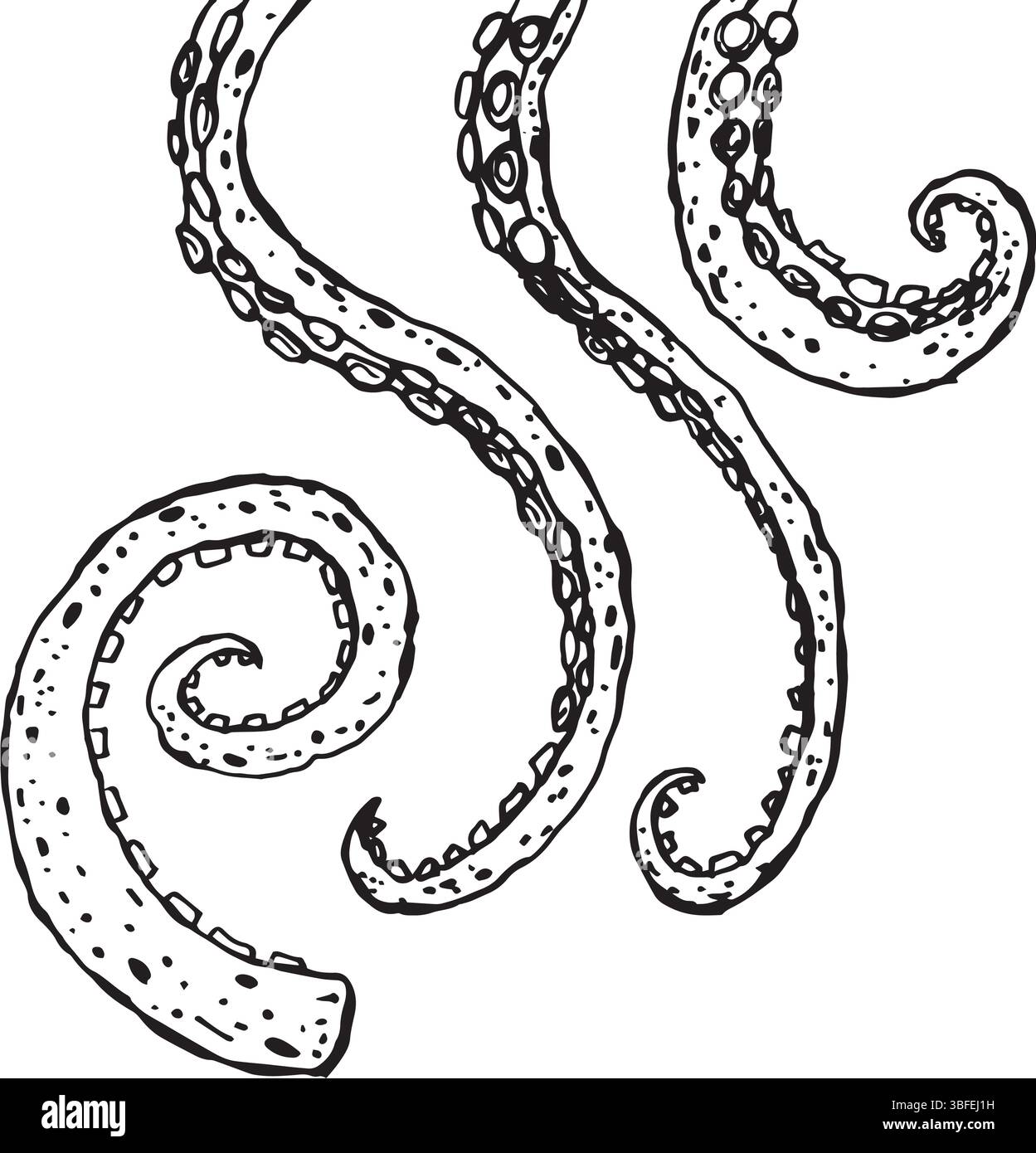 Vector drawing of octopus tentacles, one of which is cut off Stock ...