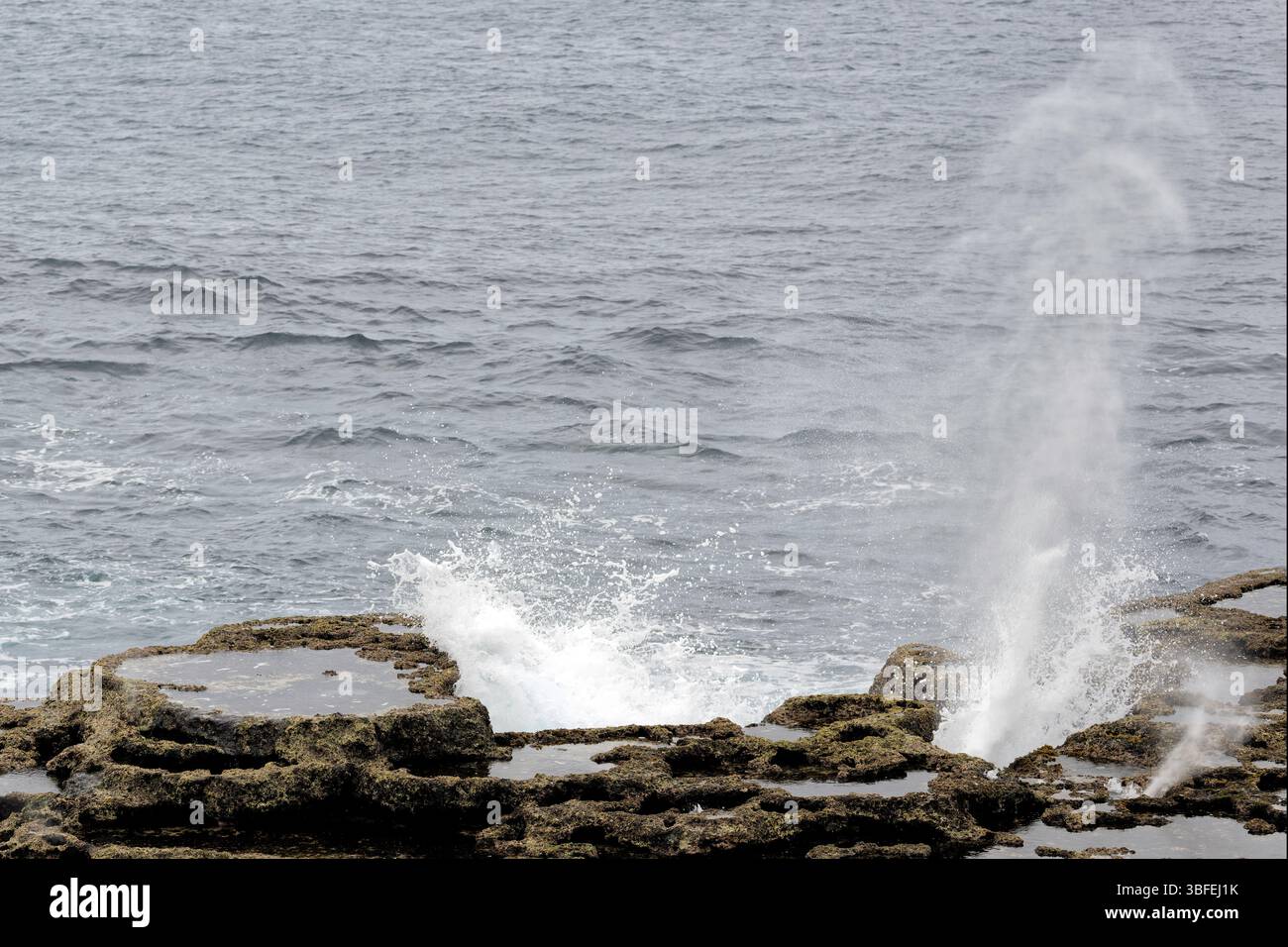 Mapu'a Vaea blowholes, Tongatapu, Kingdom of Tonga Stock Photo - Alamy