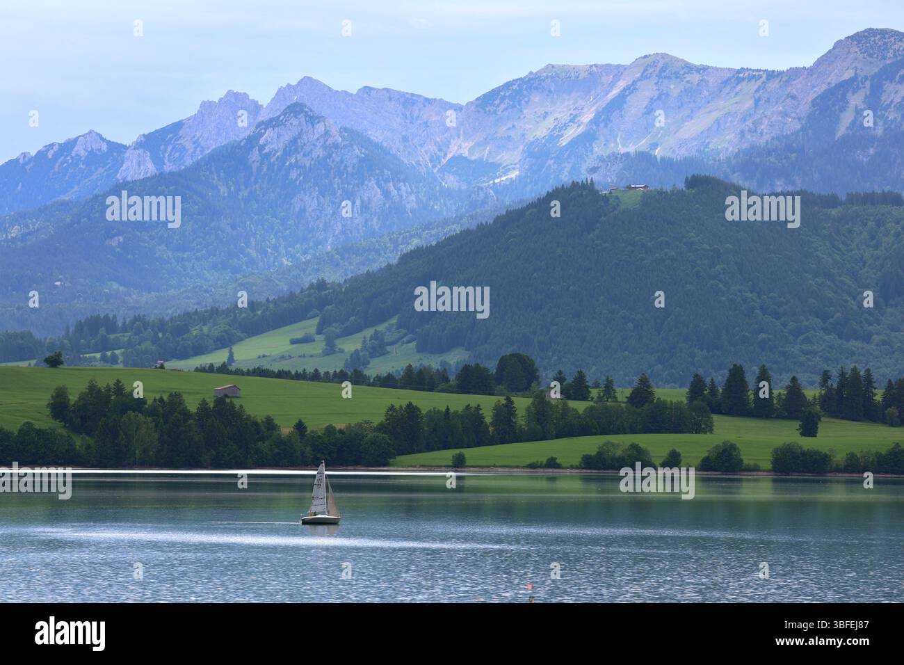 01 June 2025, Bavaria, Füssen: A sailing boat crosses the Forggensee ...