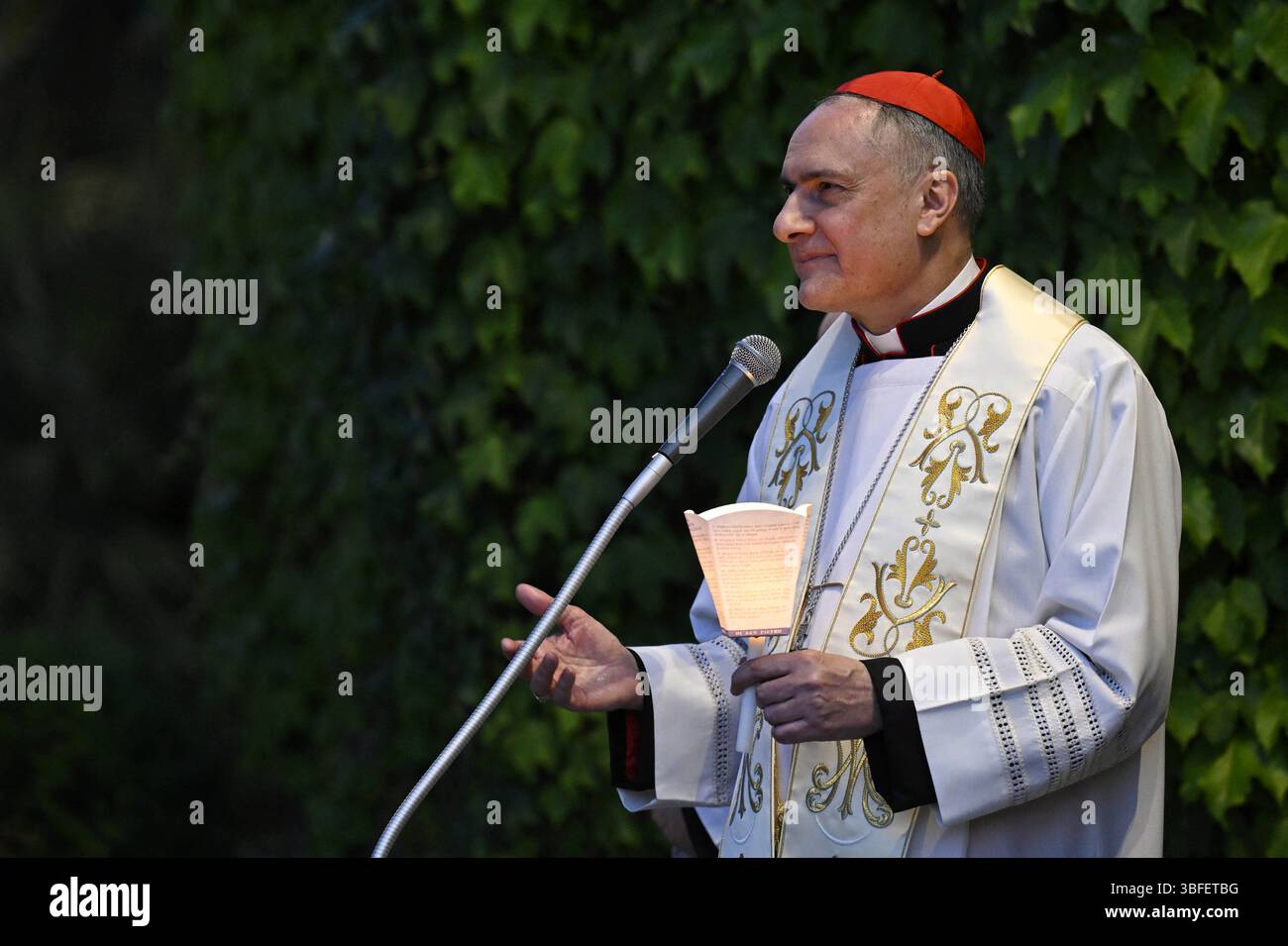 Cardinal Mauro Gambetti, archpriest of Saint Peter's Basilica attends ...