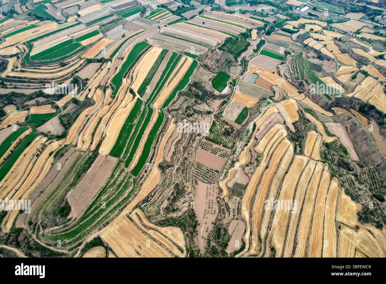YUNCHENG, CHINA - JUNE 1, 2025 - Aerial view of terraced fields on the ...