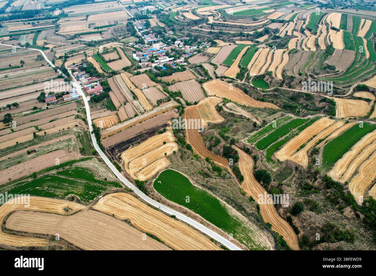 YUNCHENG, CHINA - JUNE 1, 2025 - Aerial view of terraced fields on the ...