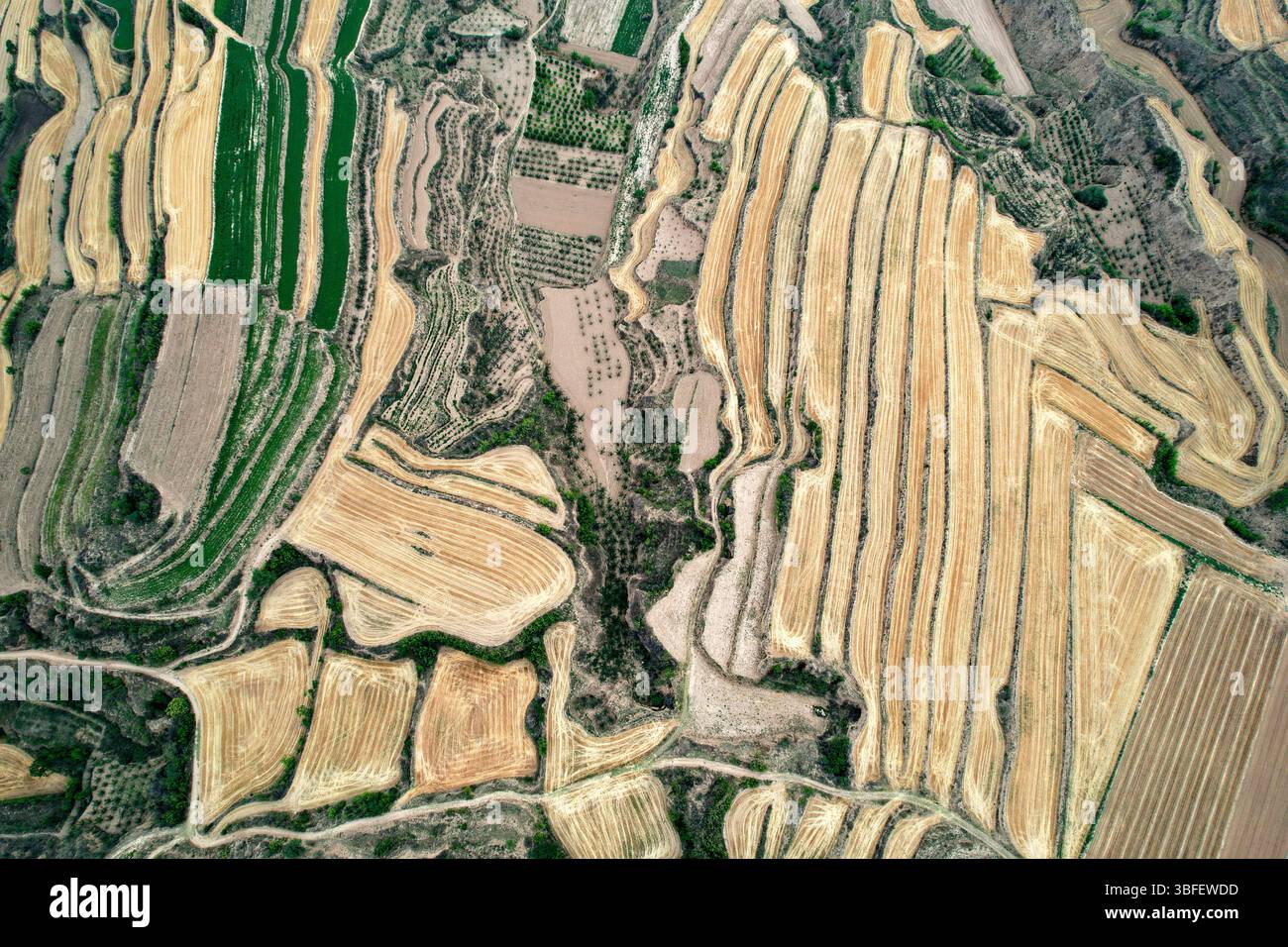 YUNCHENG, CHINA - JUNE 1, 2025 - Aerial view of terraced fields on the ...