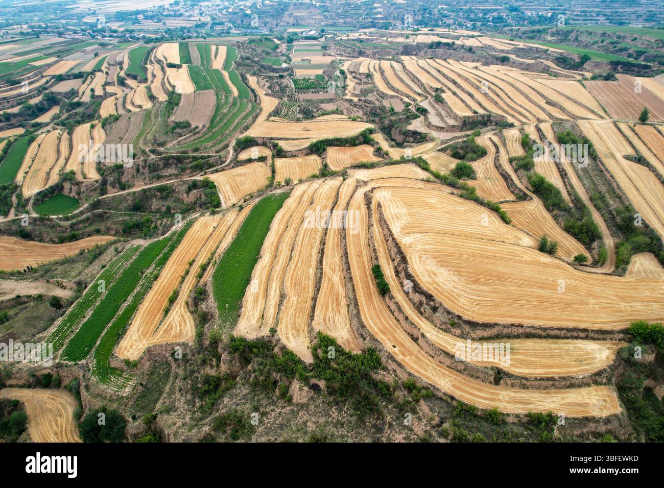 YUNCHENG, CHINA - JUNE 1, 2025 - Aerial view of terraced fields on the ...