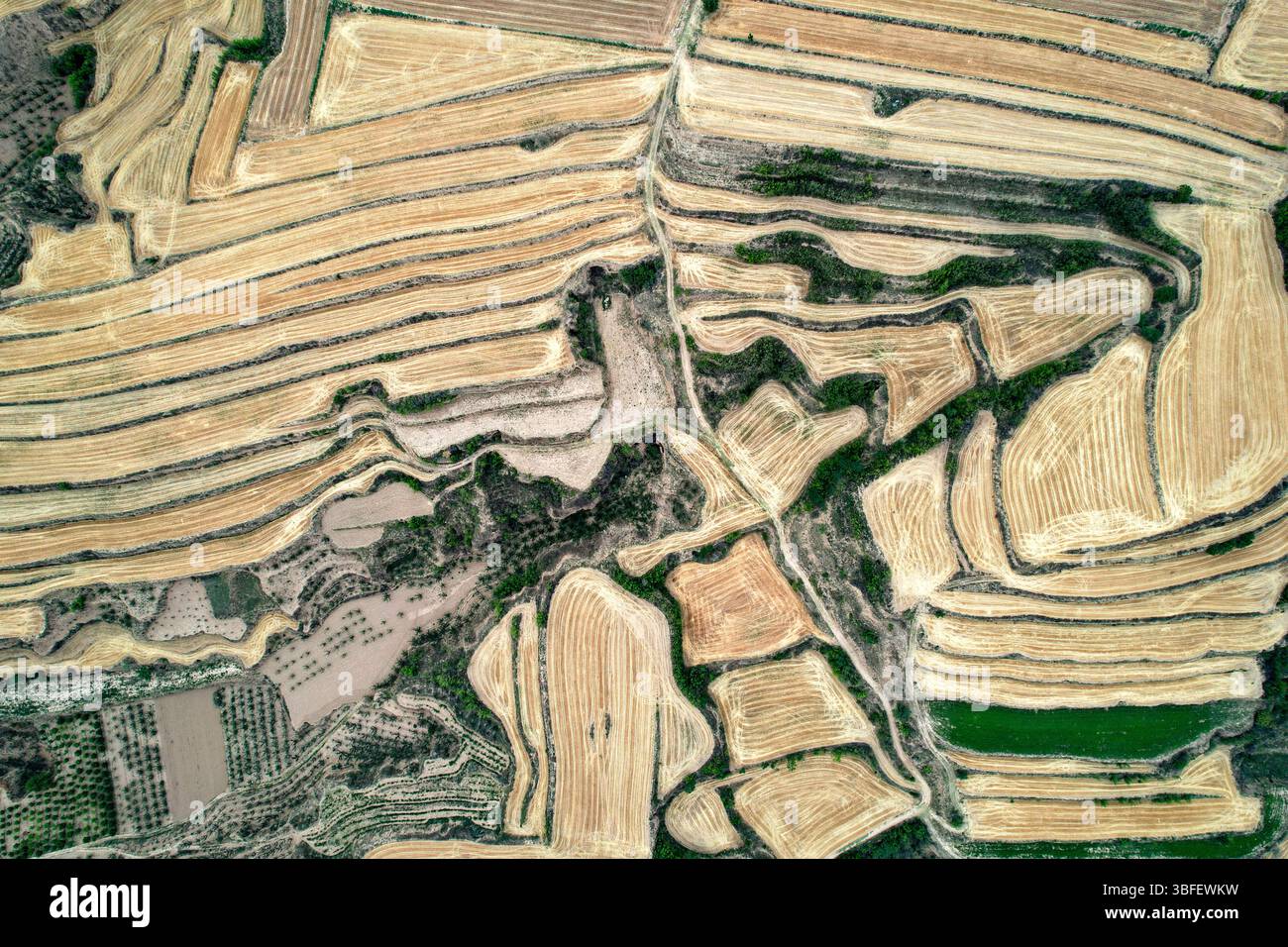 YUNCHENG, CHINA - JUNE 1, 2025 - Aerial view of terraced fields on the ...