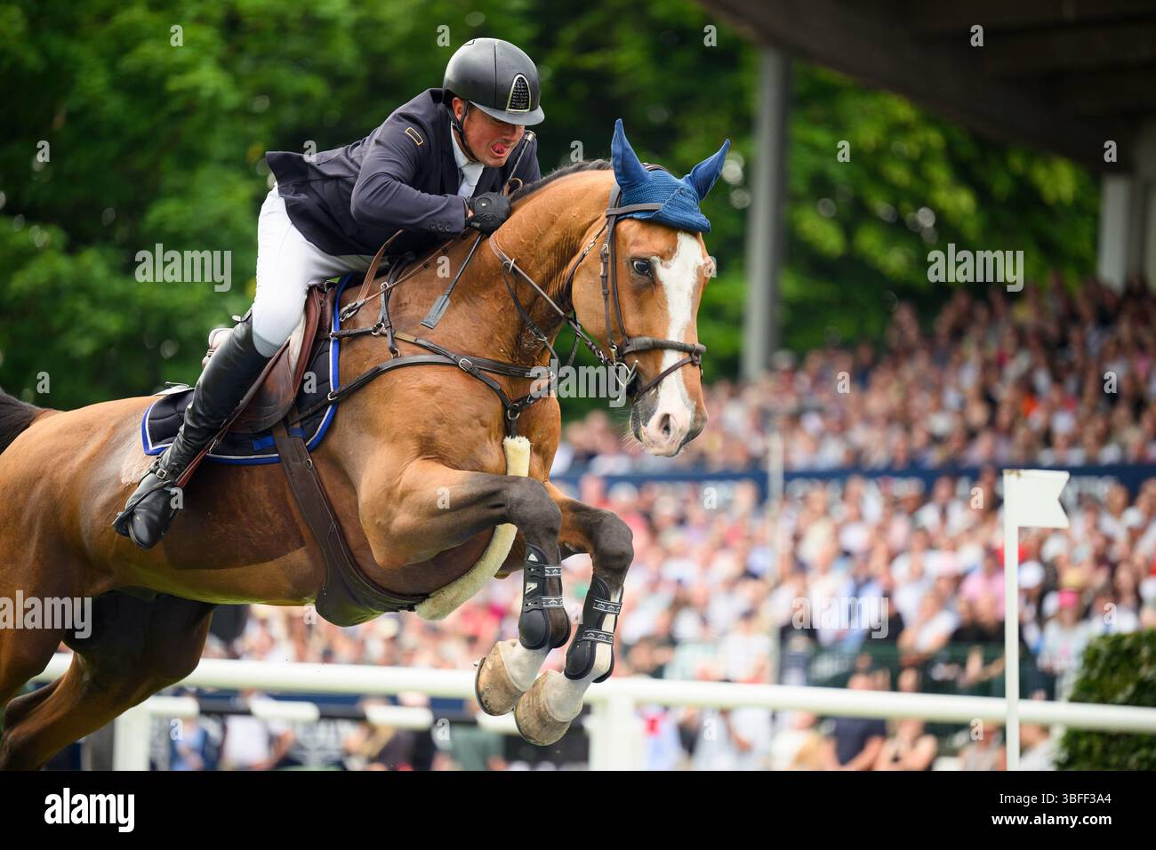 Hamburg, Germany. 01st June, 2025. Equestrian sport: Show jumping ...