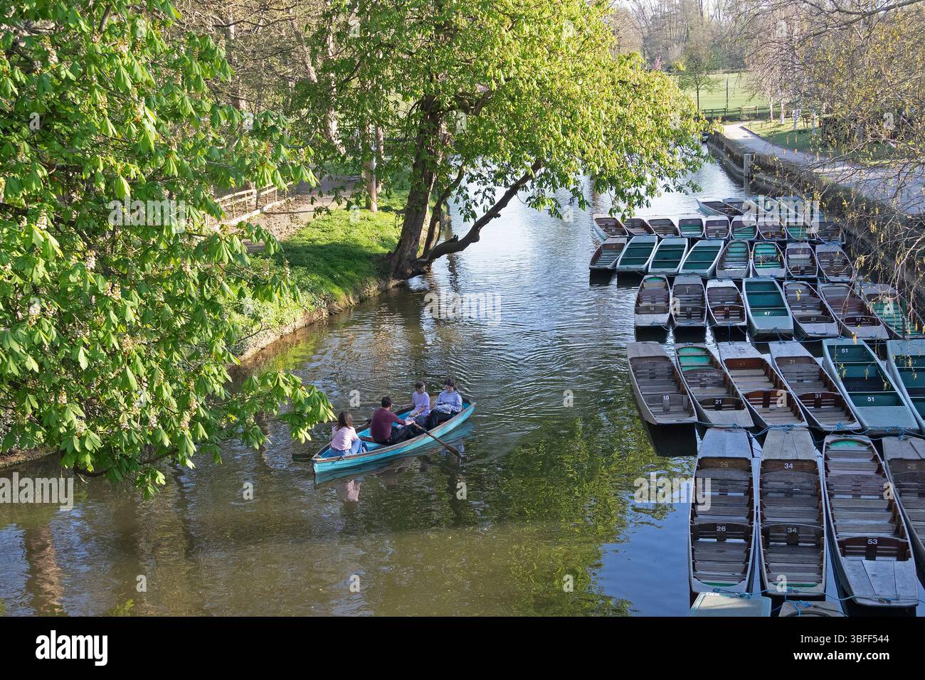Tree, boats, rowing boat, River Cherwell, Oxford, England, Great ...