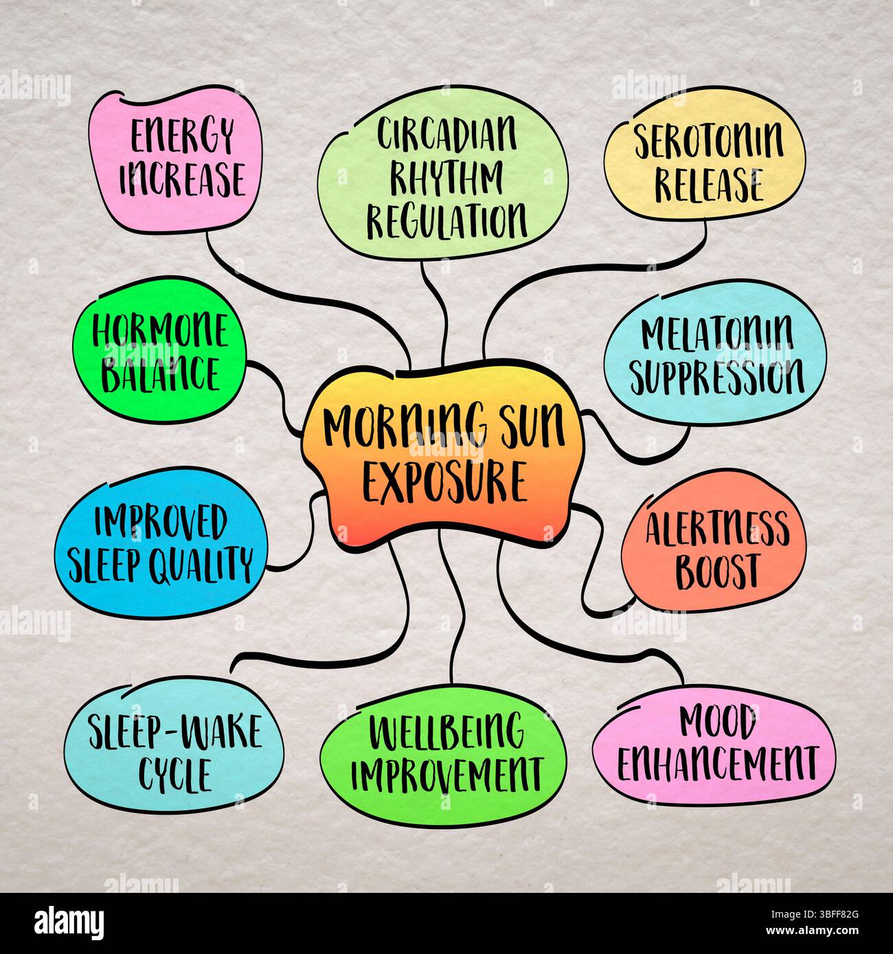 morning sun exposure and its benefits for health and sleep quality ...