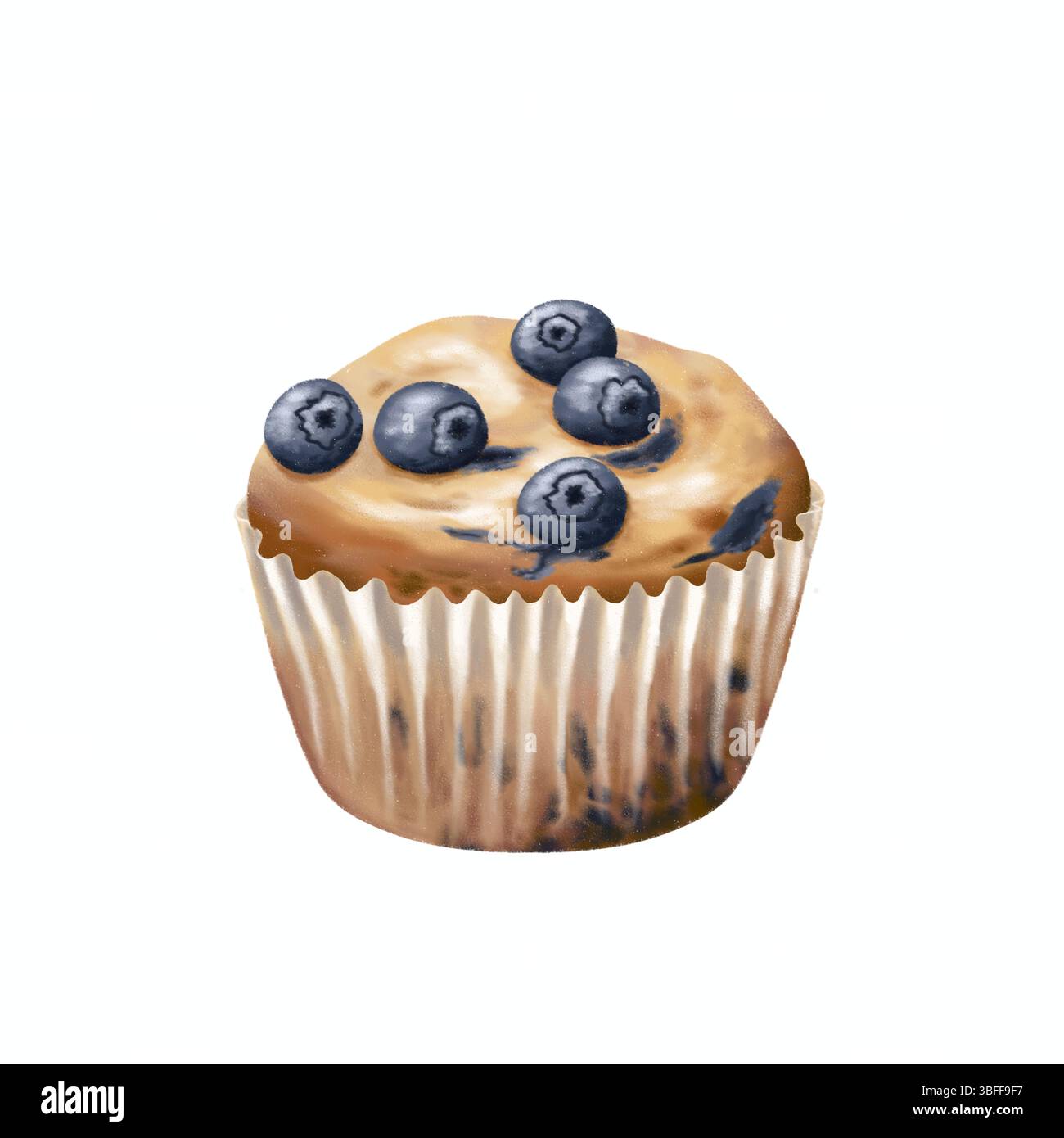 Delicious blueberry muffin illustration isolated on a white background ...