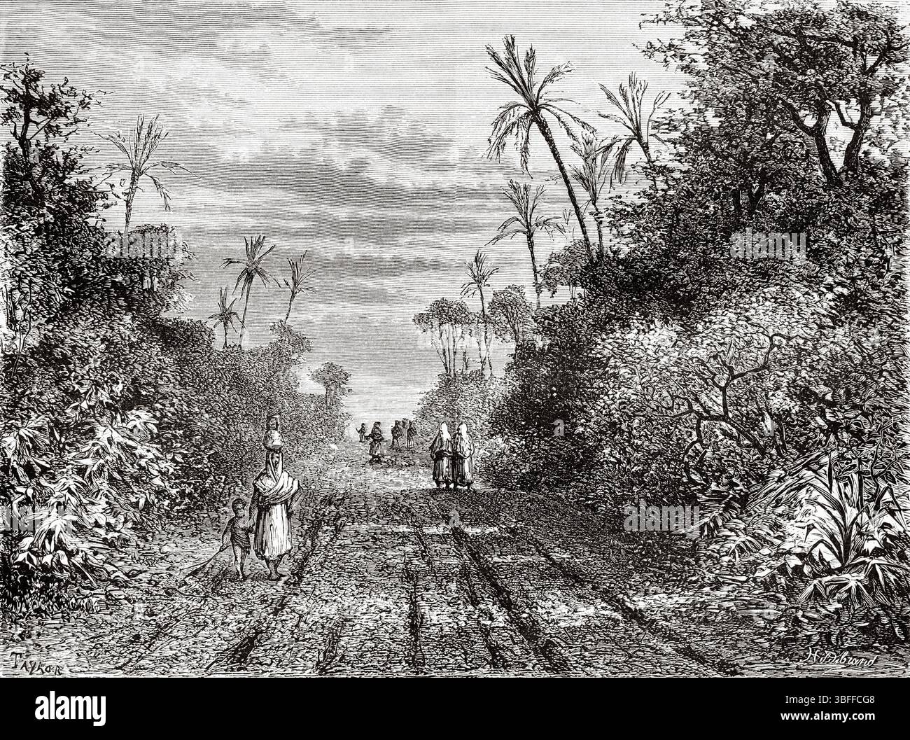 Old road from Asunción to Trinidad. Paraguay. Central South America ...