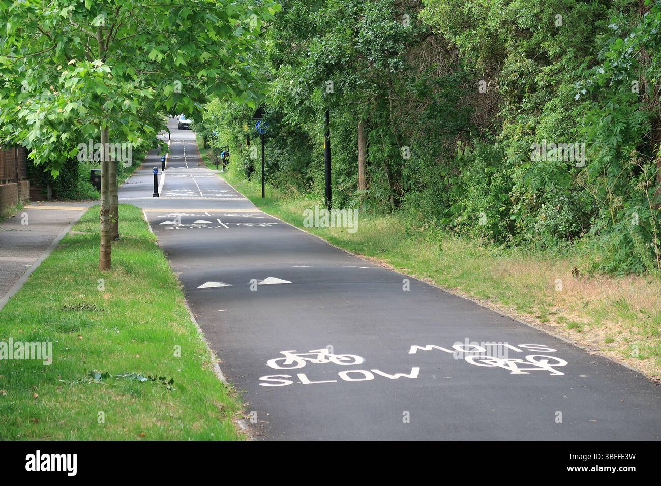 The newly upgraded cycle route along Green Dale - a traffic-free route ...