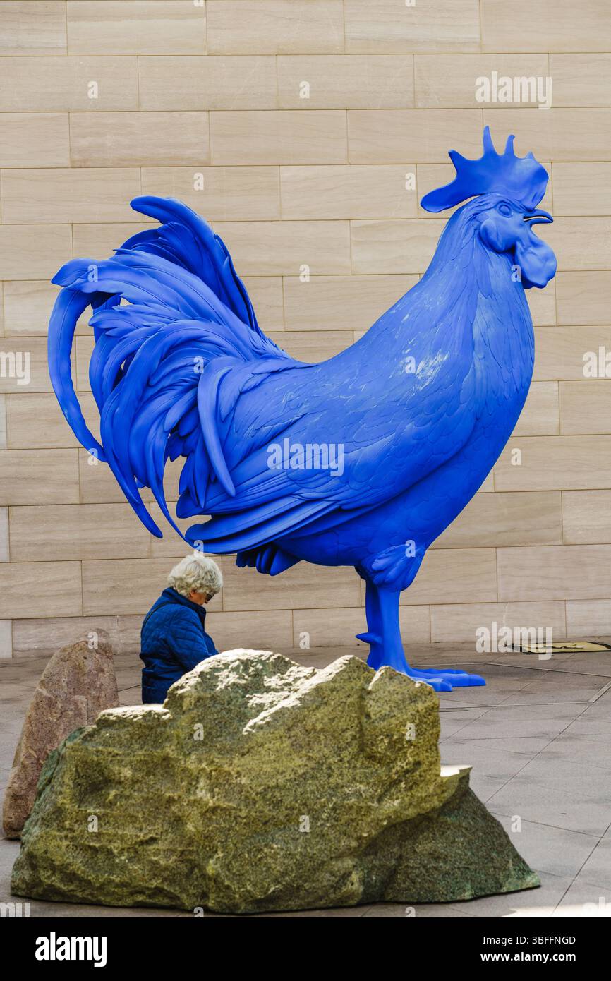 Washington D.C, USA - May 22, 2025. Giant blue rooster sculpture by ...