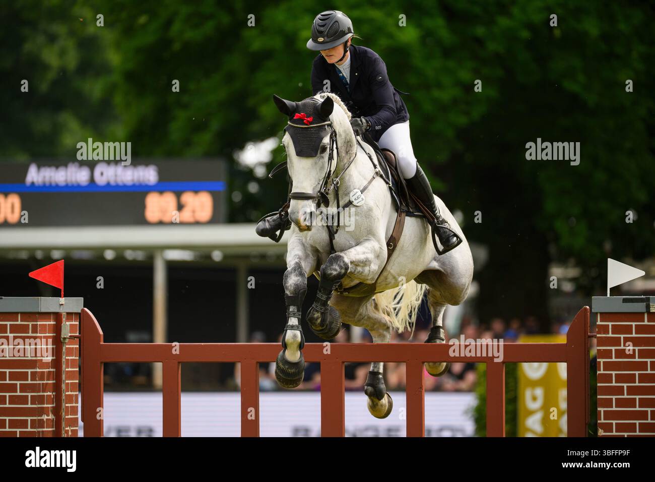 Hamburg, Germany. 01st June, 2025. Equestrian sport: Show jumping ...