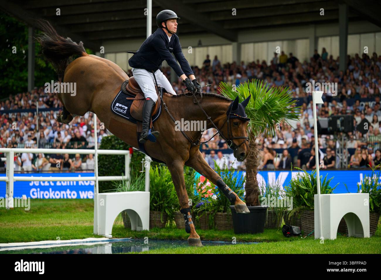 Hamburg, Germany. 01st June, 2025. Equestrian sport: Show jumping ...