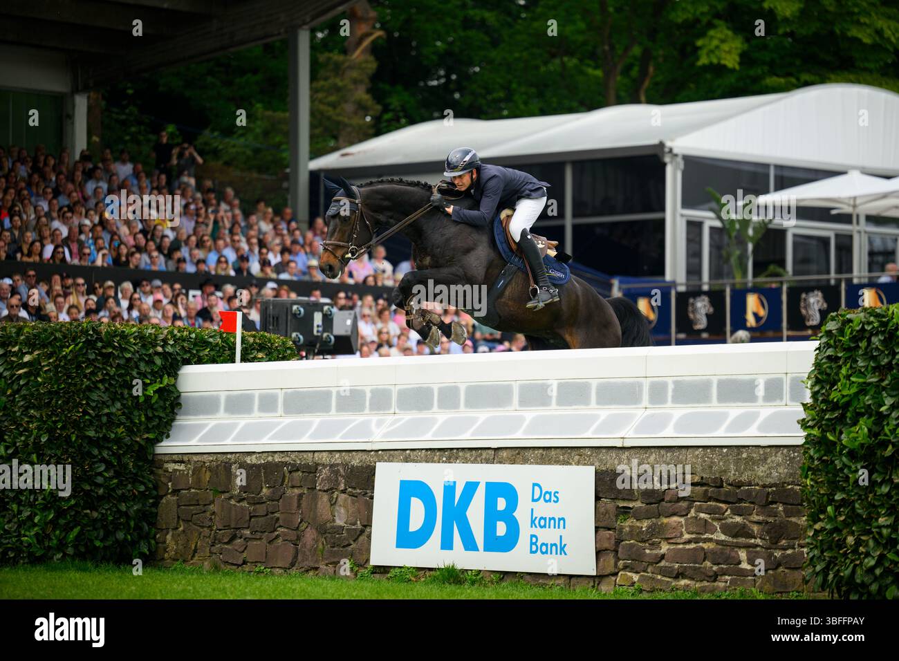 Hamburg, Germany. 01st June, 2025. Equestrian sport: Show jumping ...