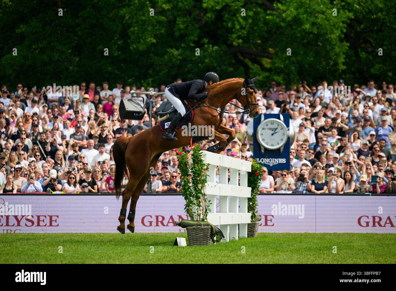 Hamburg, Germany. 01st June, 2025. Equestrian sport: Jumping, German ...