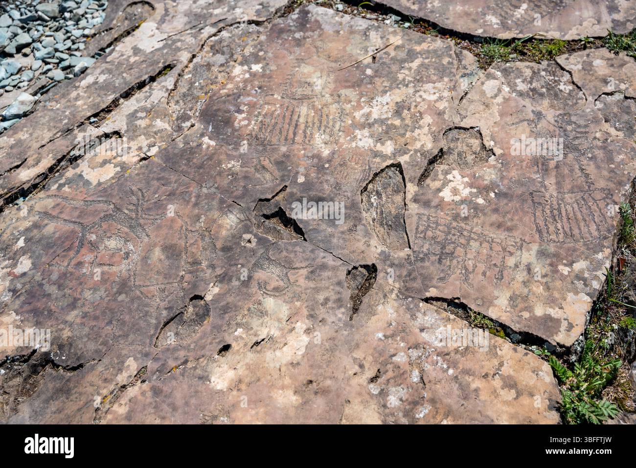 Petroglyphs at Kalbak-Tash rock art complex Altai Russia. Ancient ...