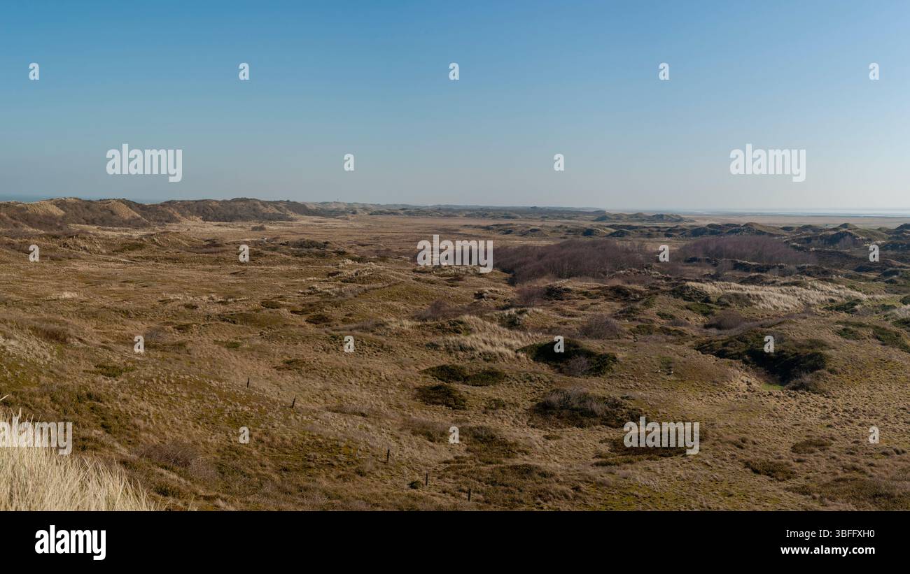 Das gras hi-res stock photography and images - Alamy