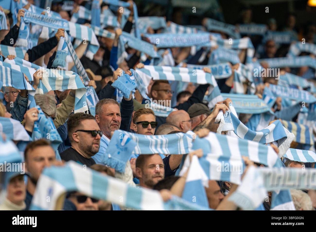 Malmo, Sweden. 01st June, 2025. Football fans of Malmo FF seen on the ...