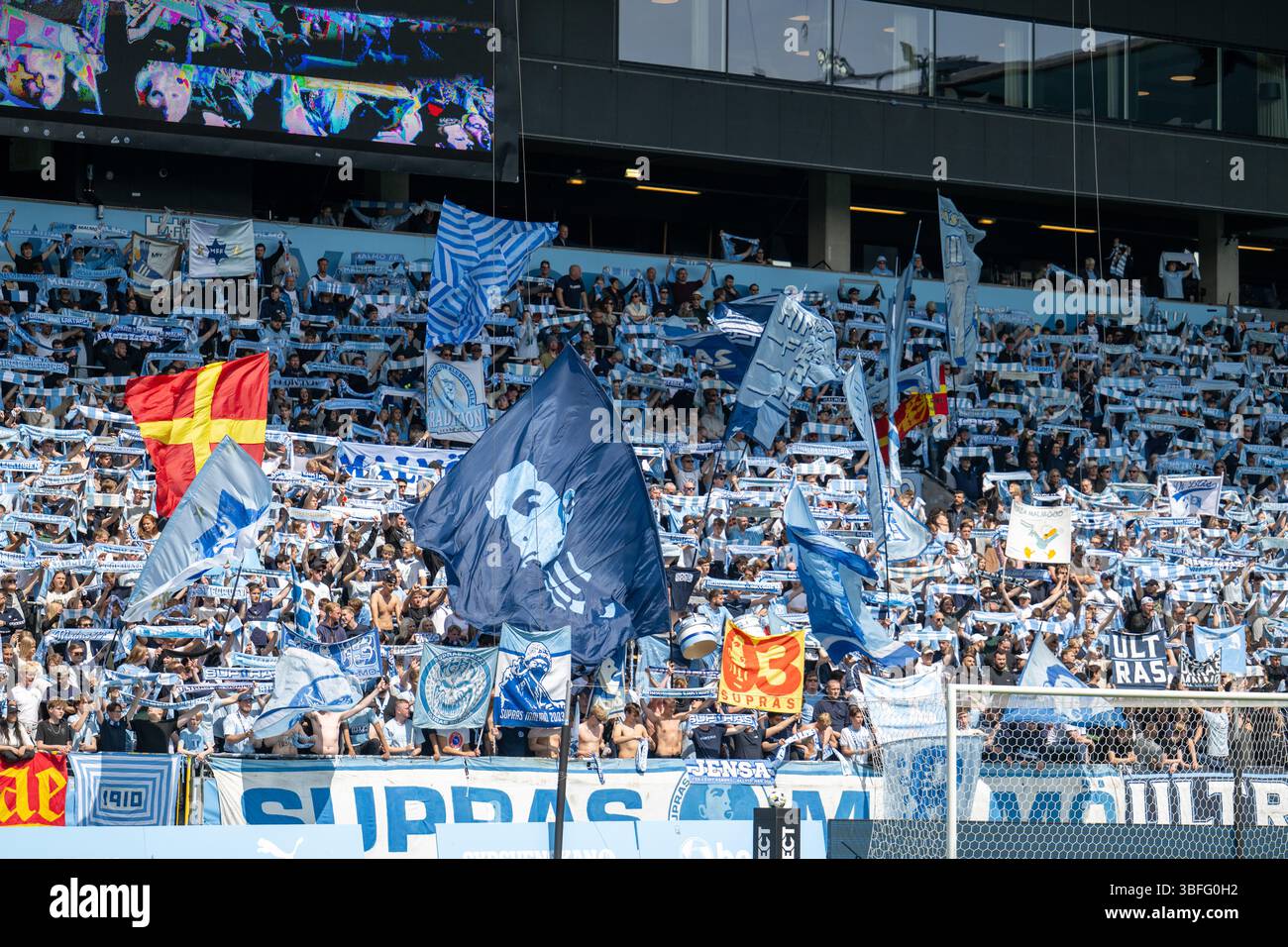 Malmo, Sweden. 01st June, 2025. Football fans of Malmo FF seen on the ...