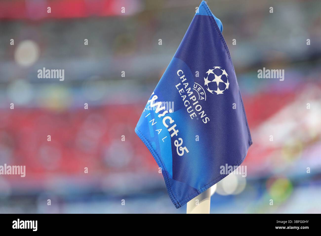 Munich, Deutschland. 31st May, 2025. firo : 31.05.2025, Football ...