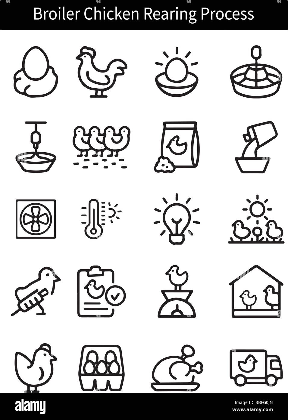 Broiler Chicken Rearing Icons Set – Poultry Farming and Hatchery ...