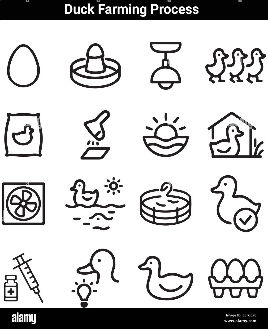 Duck Farming Process Icons – Poultry Breeding and Hatchery Symbols ...