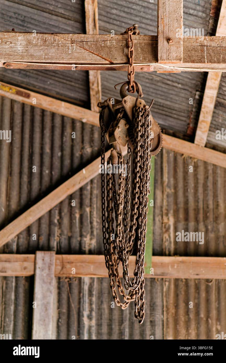 Rusty chain hoist hanging from wooden beam in old barn with corrugated ...