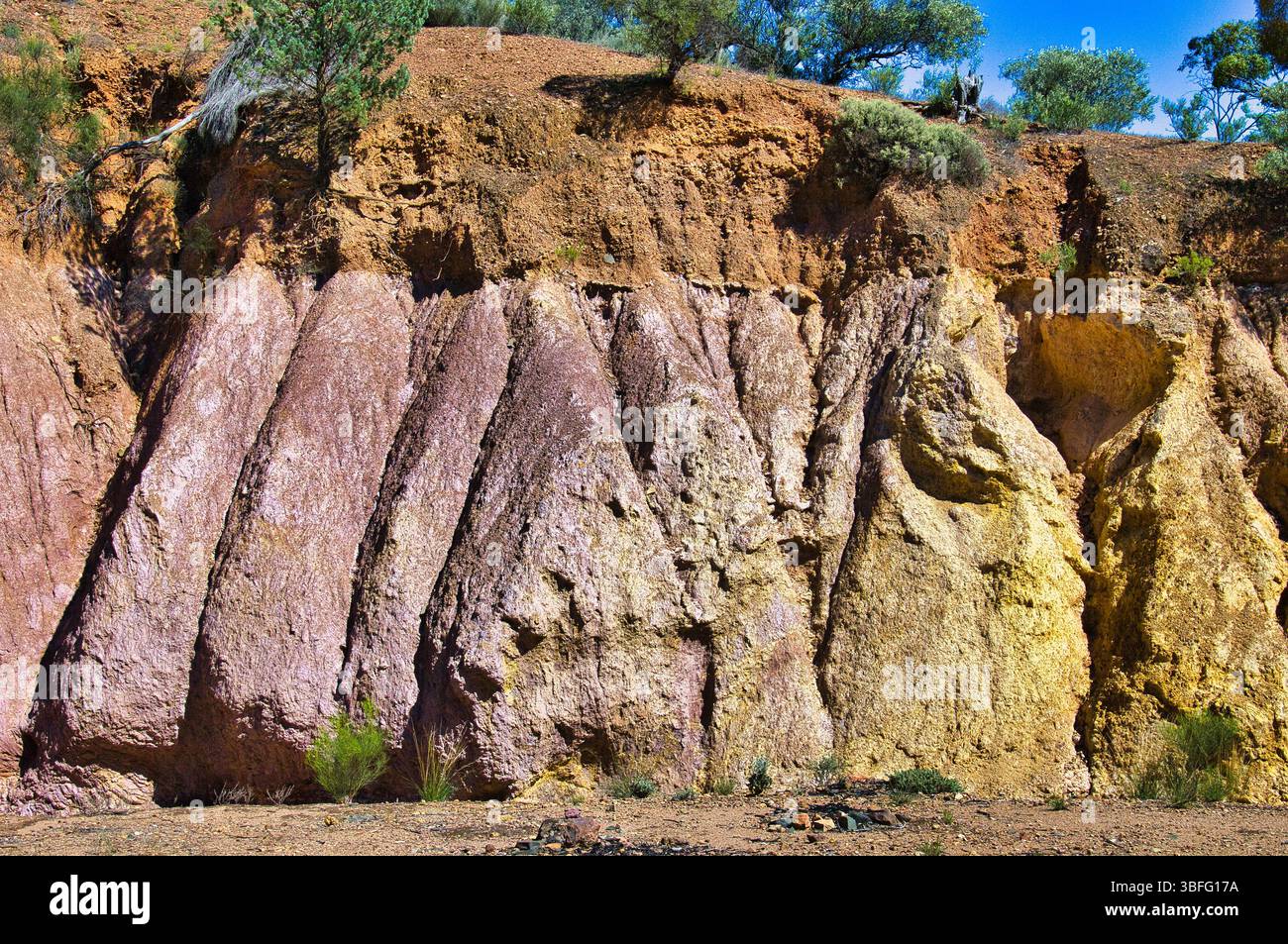 Natural erosion patterns make a rock face look like a group of menhirs ...