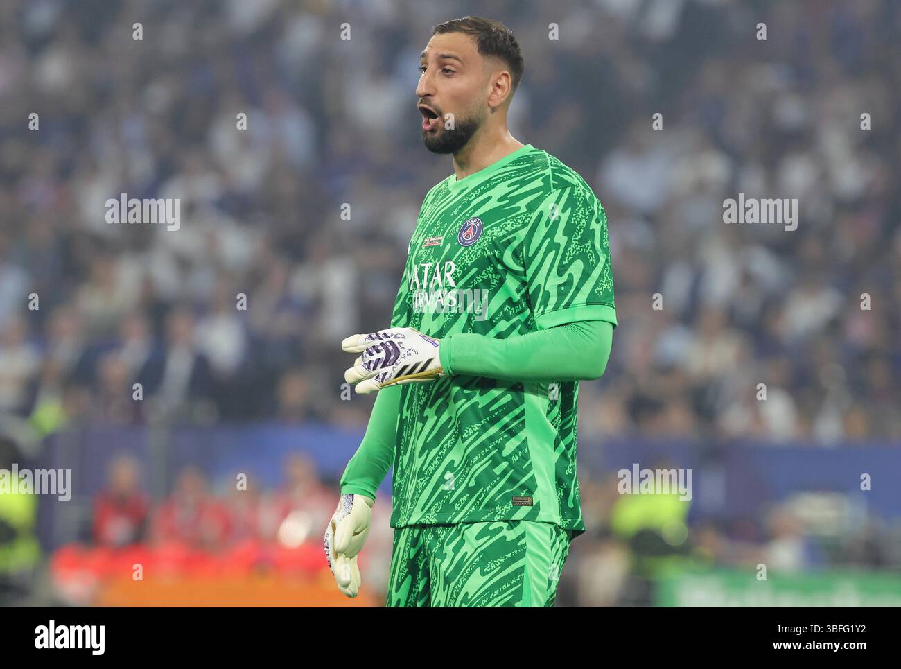 Munich, Deutschland. 31st May, 2025. firo: 05/31/2025, Football ...