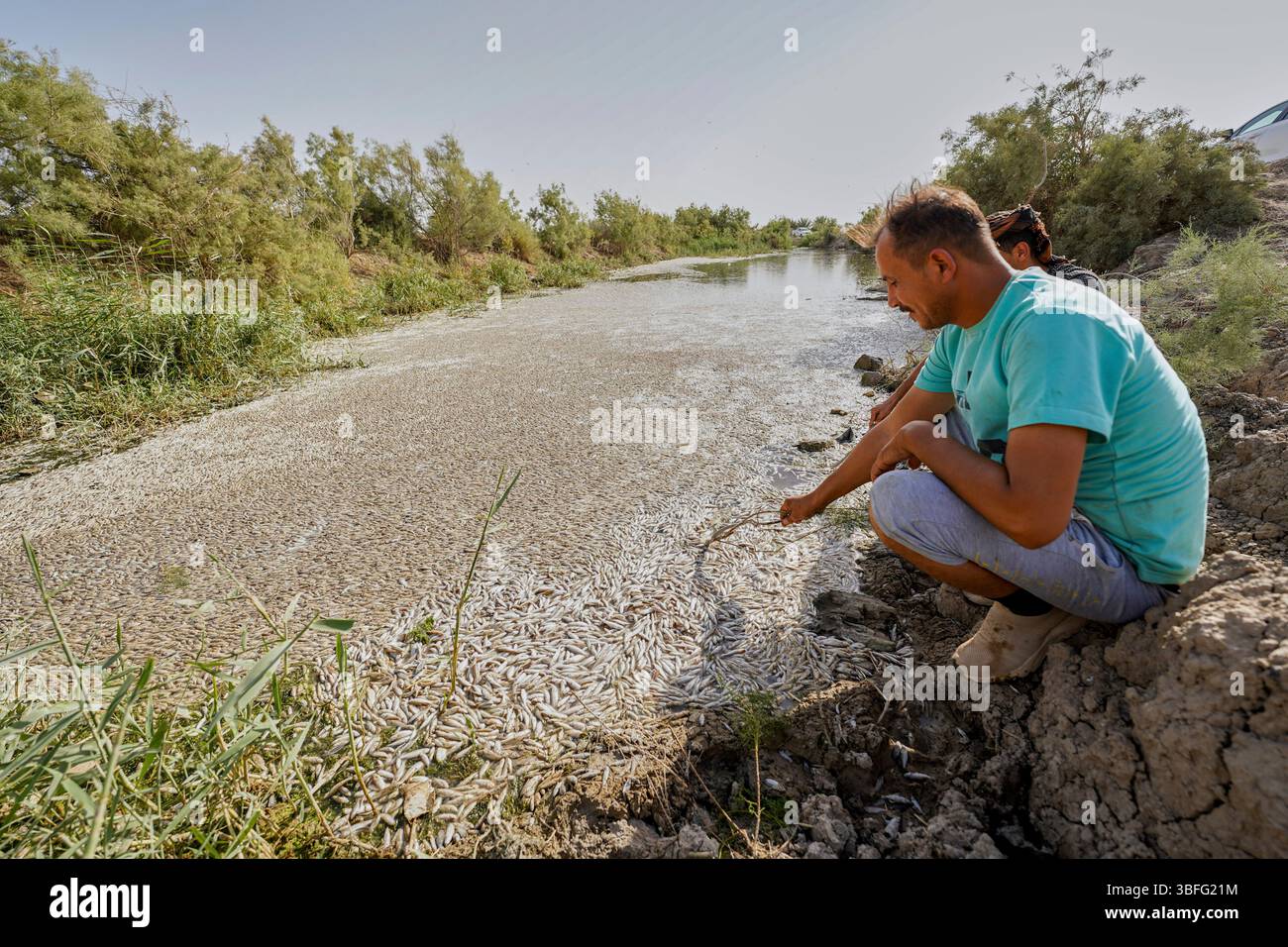 Fishermen collect dead fish near the Iben Najim Marsh in Najaf, Iraq ...