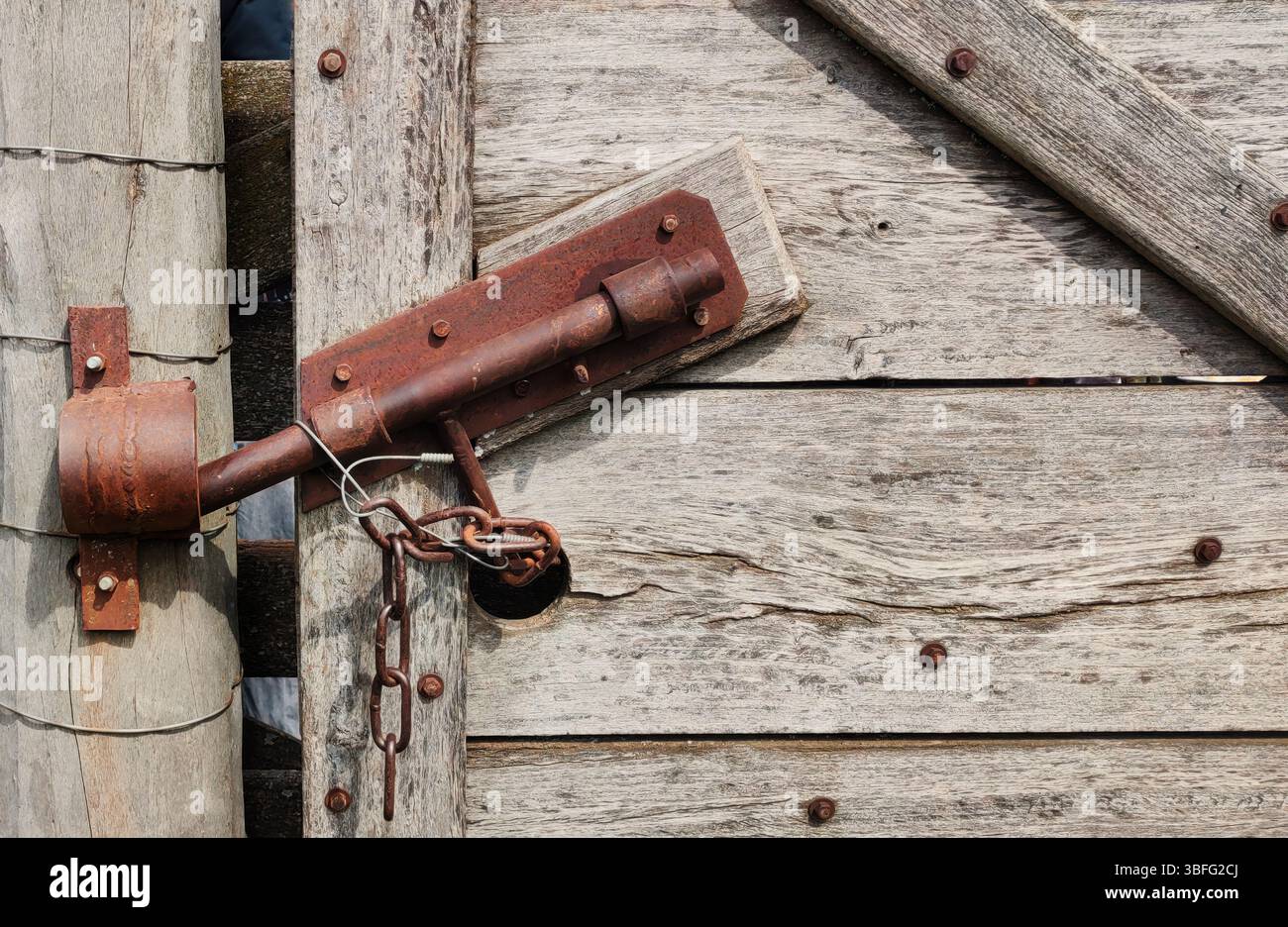 old, rusty metal gate latch on a weathered wooden farm gate. Gate is ...