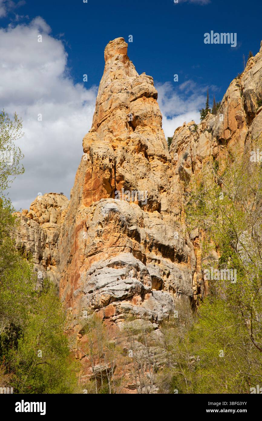 Tower Rock, Sheep Creek Canyon Geological Area, Ashley National Forest ...