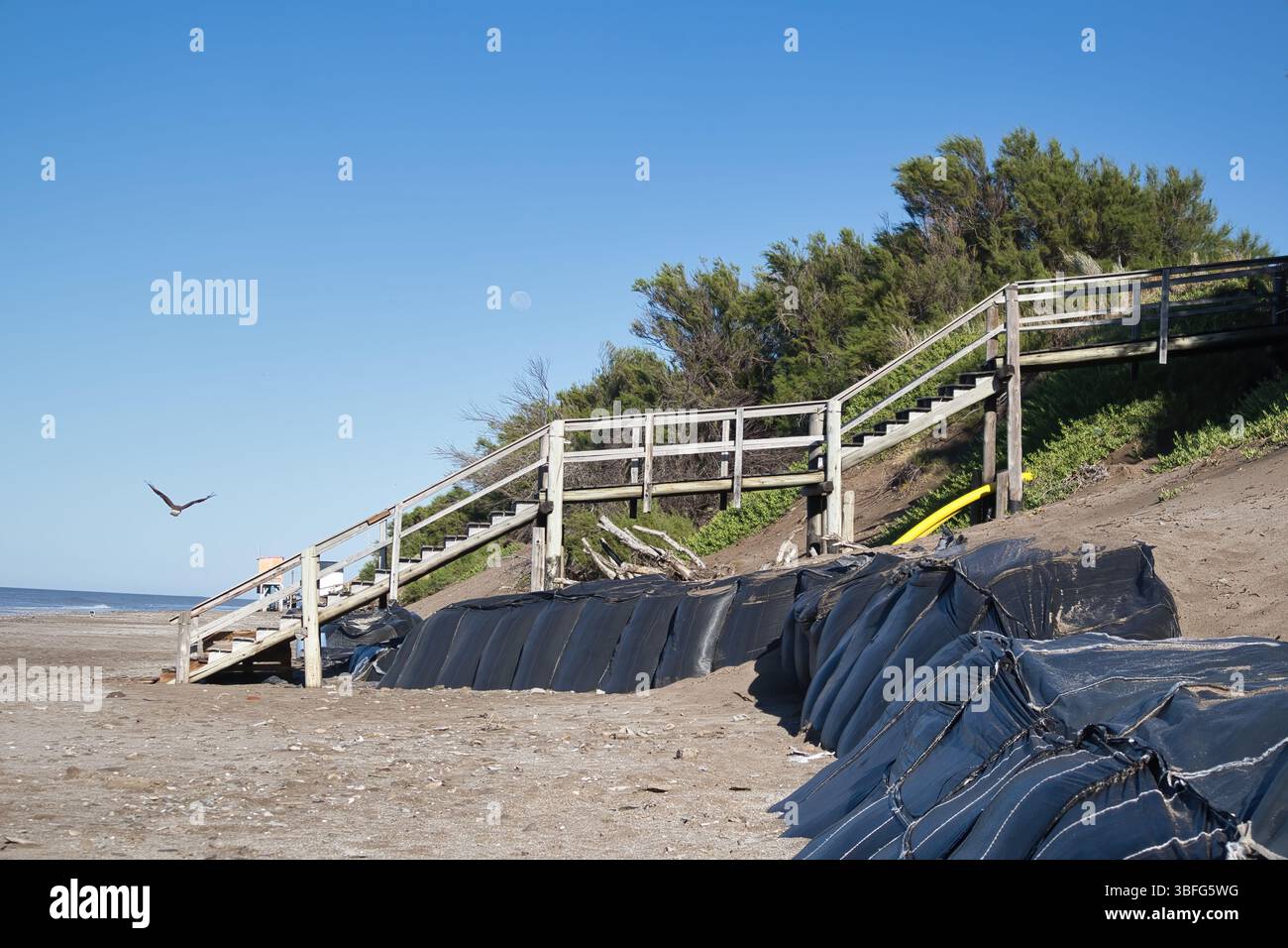 beach landscape, artificial barriers combat coastal erosion, wooden ...