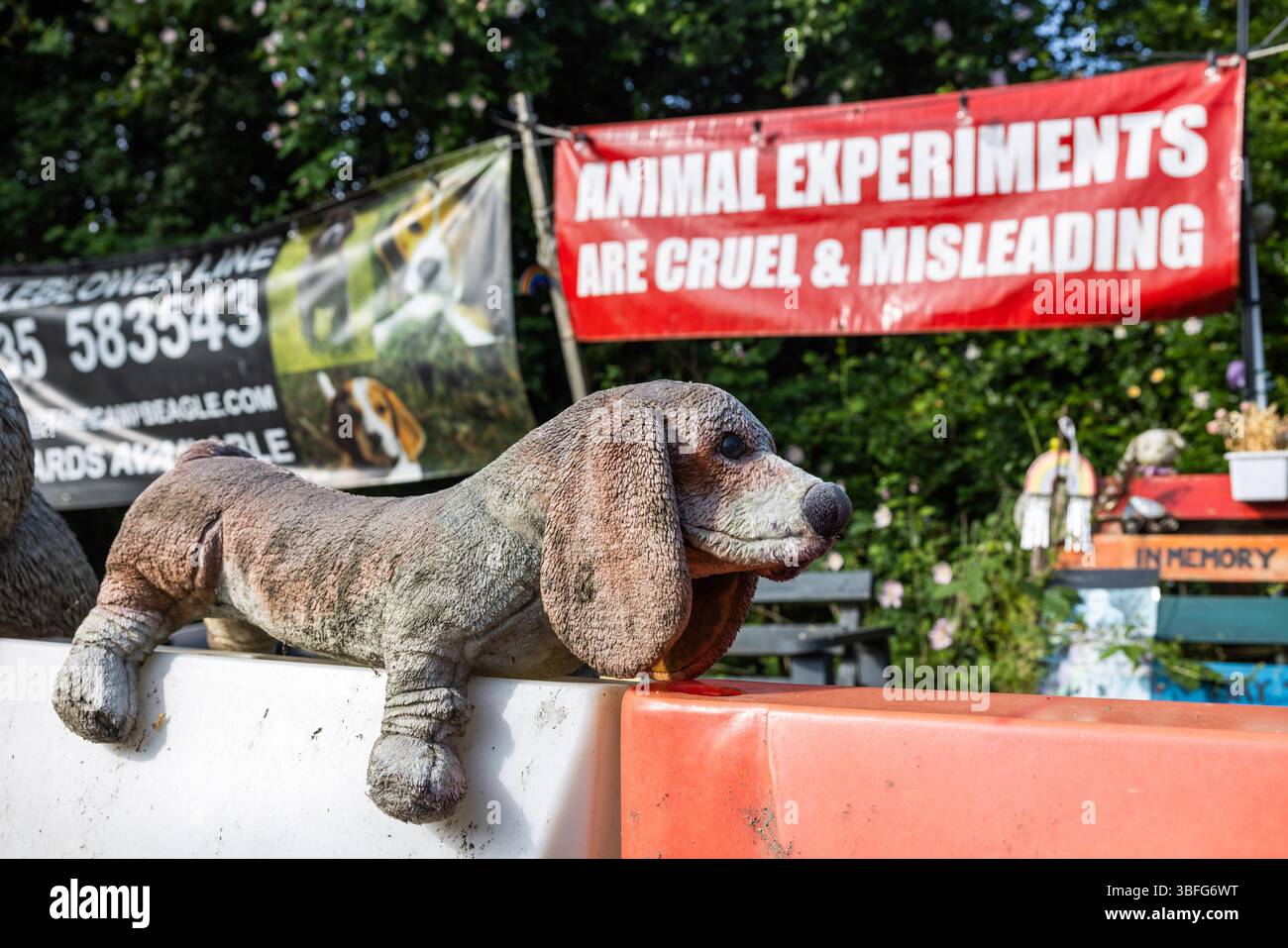 Huntingdon, UK. 01 JUN, 2025. Puppy stuff animal outside MBR Acres dog ...