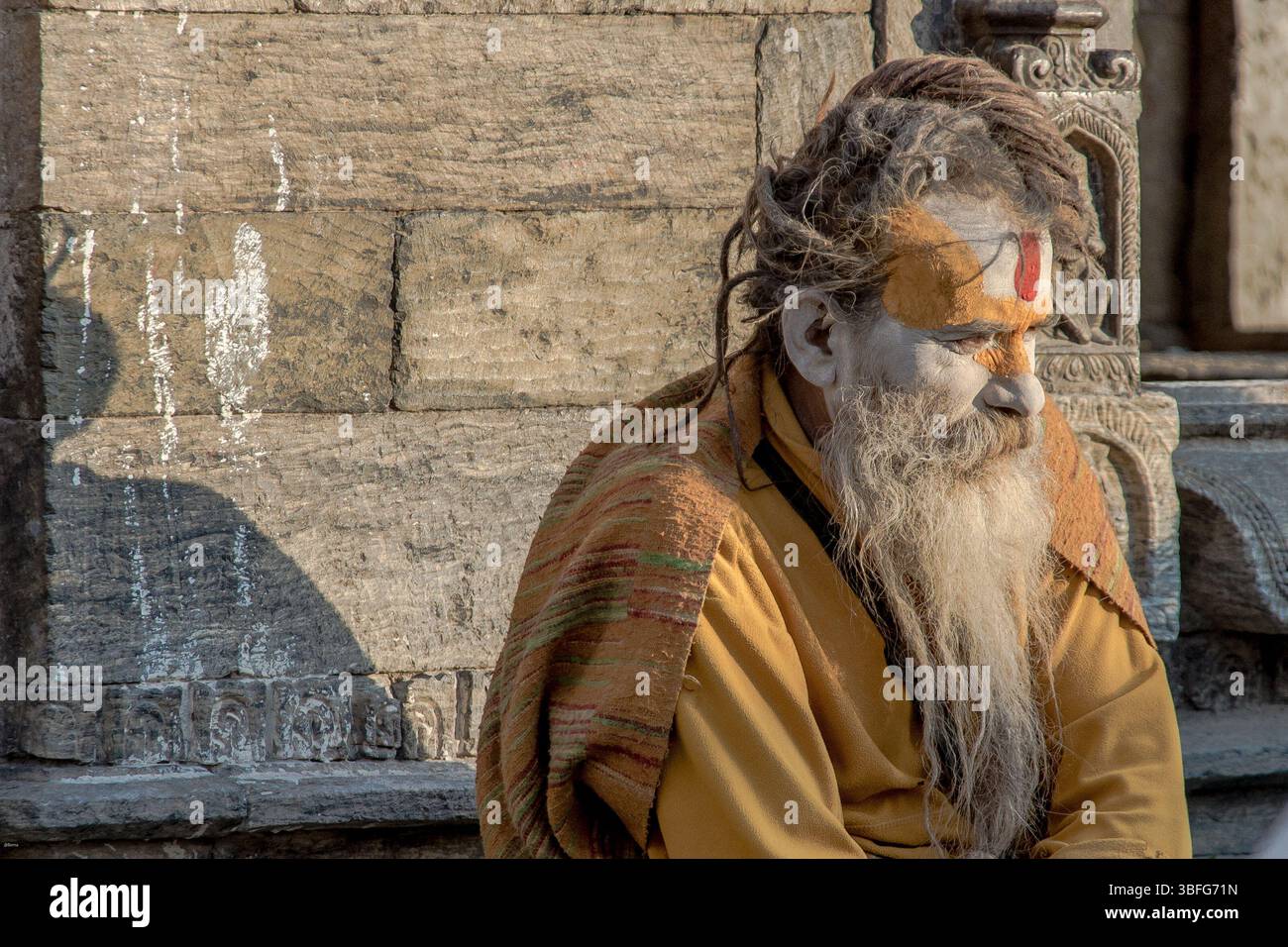 Sadhus: Holy Men of Nepal Stock Photo - Alamy