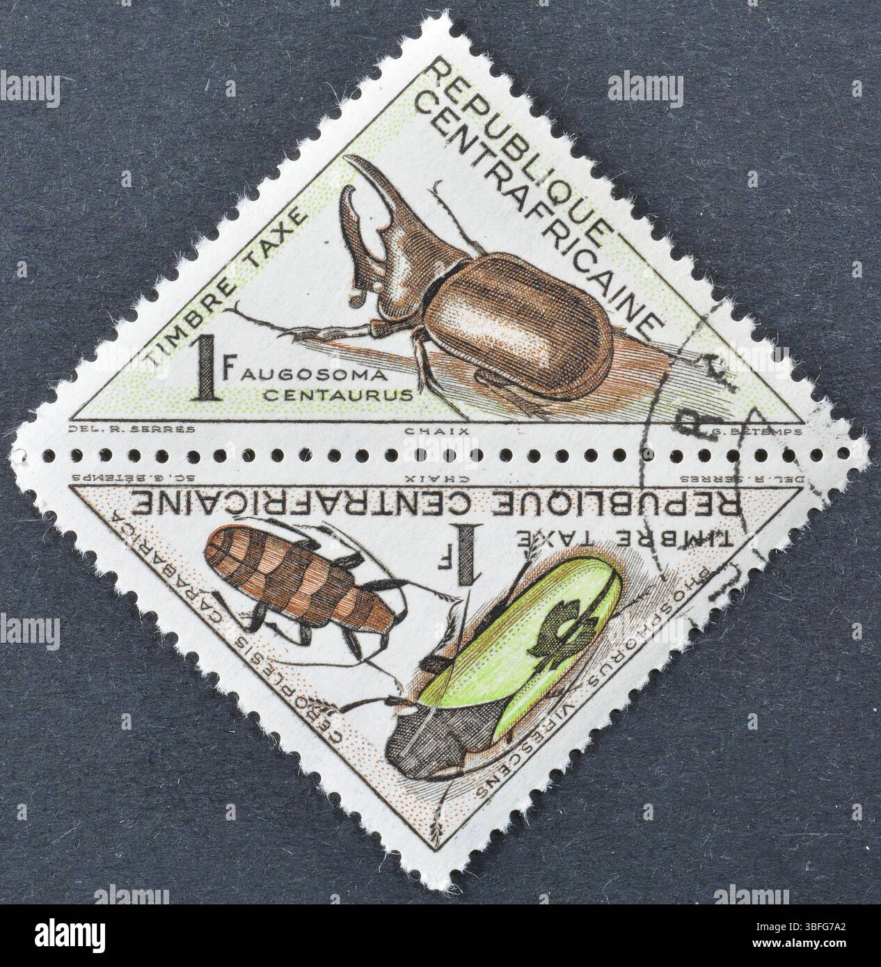 Centaurus giant beetle hi-res stock photography and images - Alamy