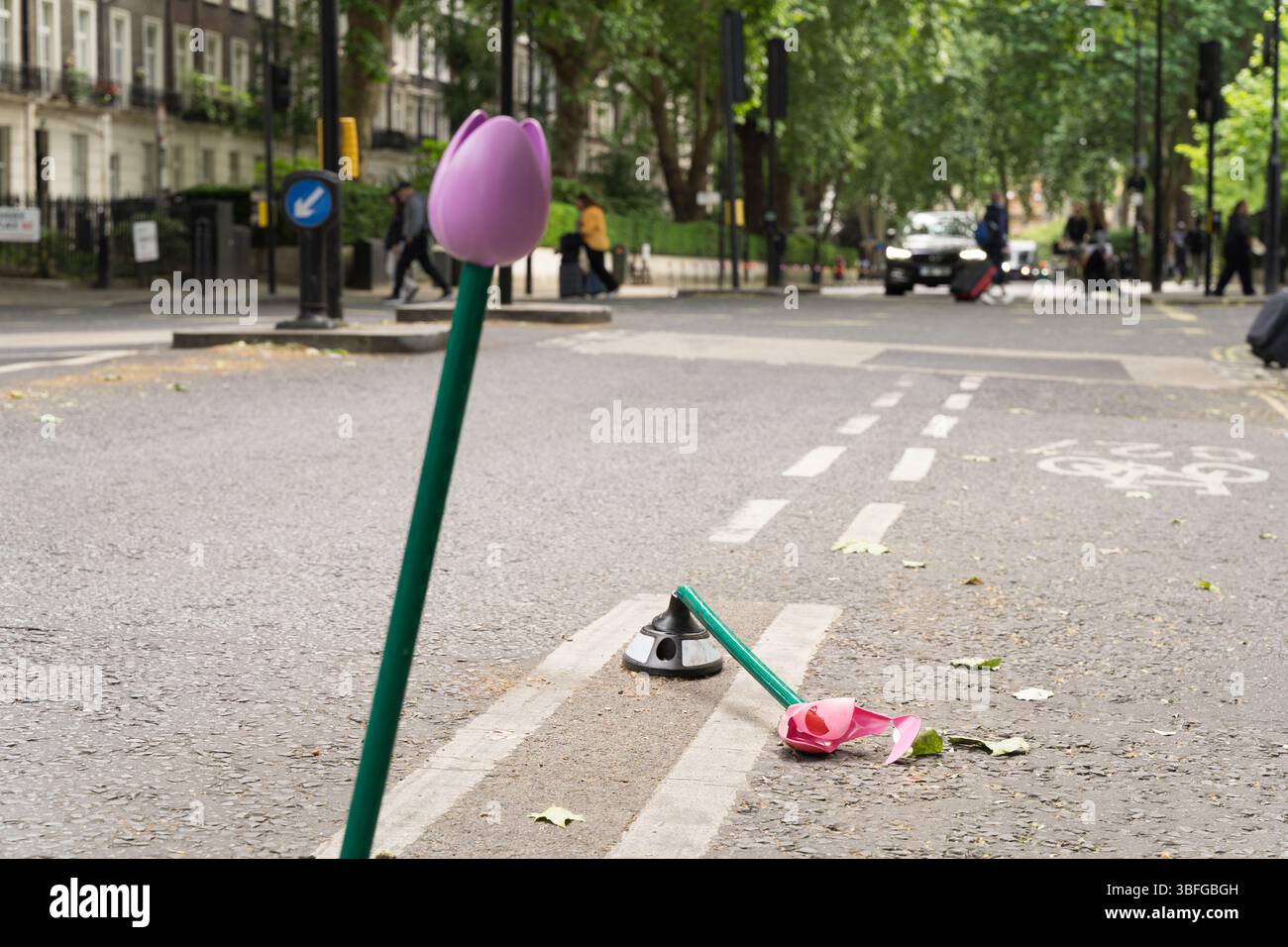 London, UK – 1st June 2025: A row of colorful plastic tulips has sprung ...