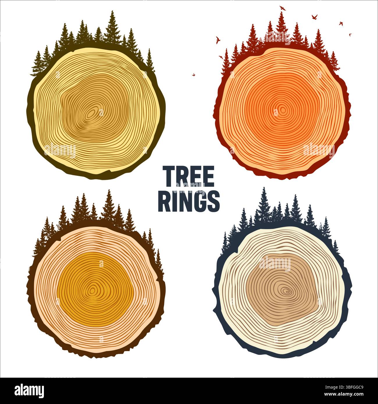 Round tree trunk cuts with trees, forest and birds. Sawn pine or oak ...