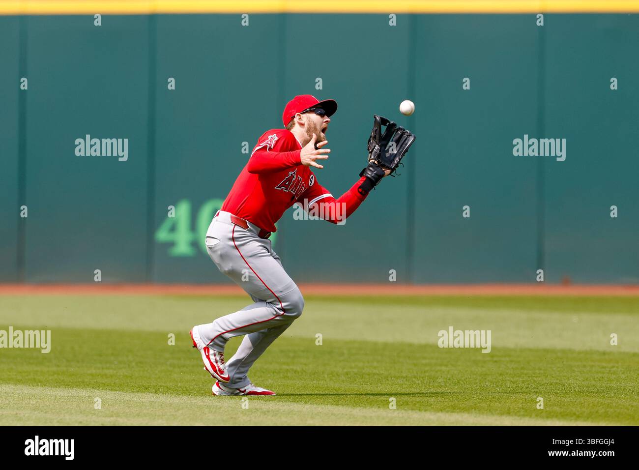 Cleveland, Ohio, USA. 1st June, 2025. Los Angeles Angels outfielder ...