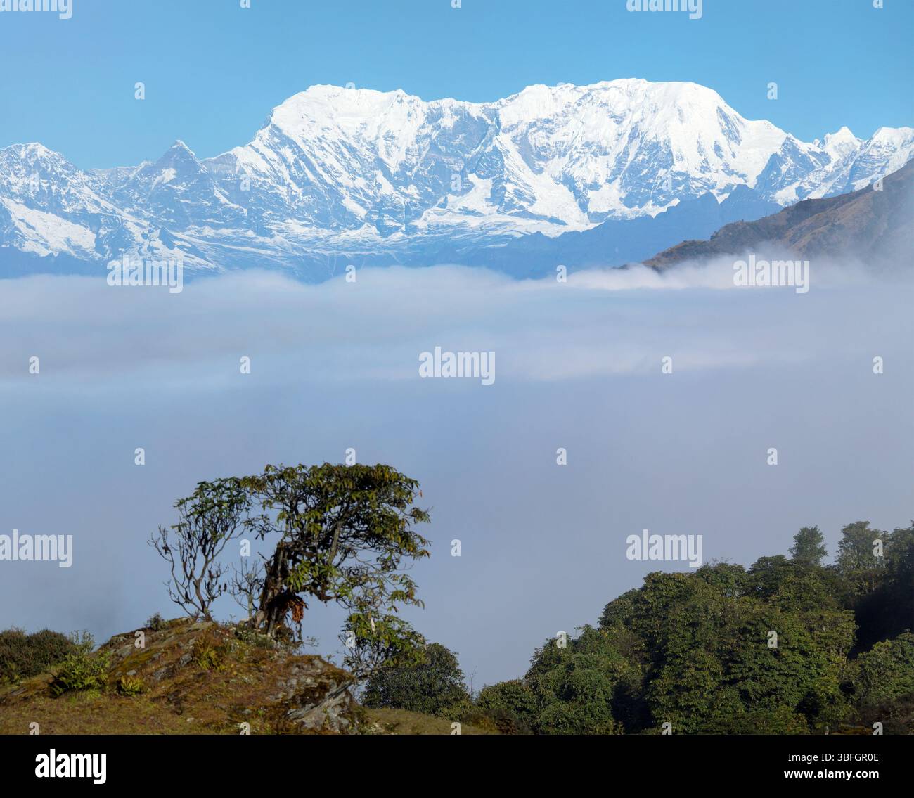 Himalaya, beautiful view from the foothills of the Himalayas to the ...