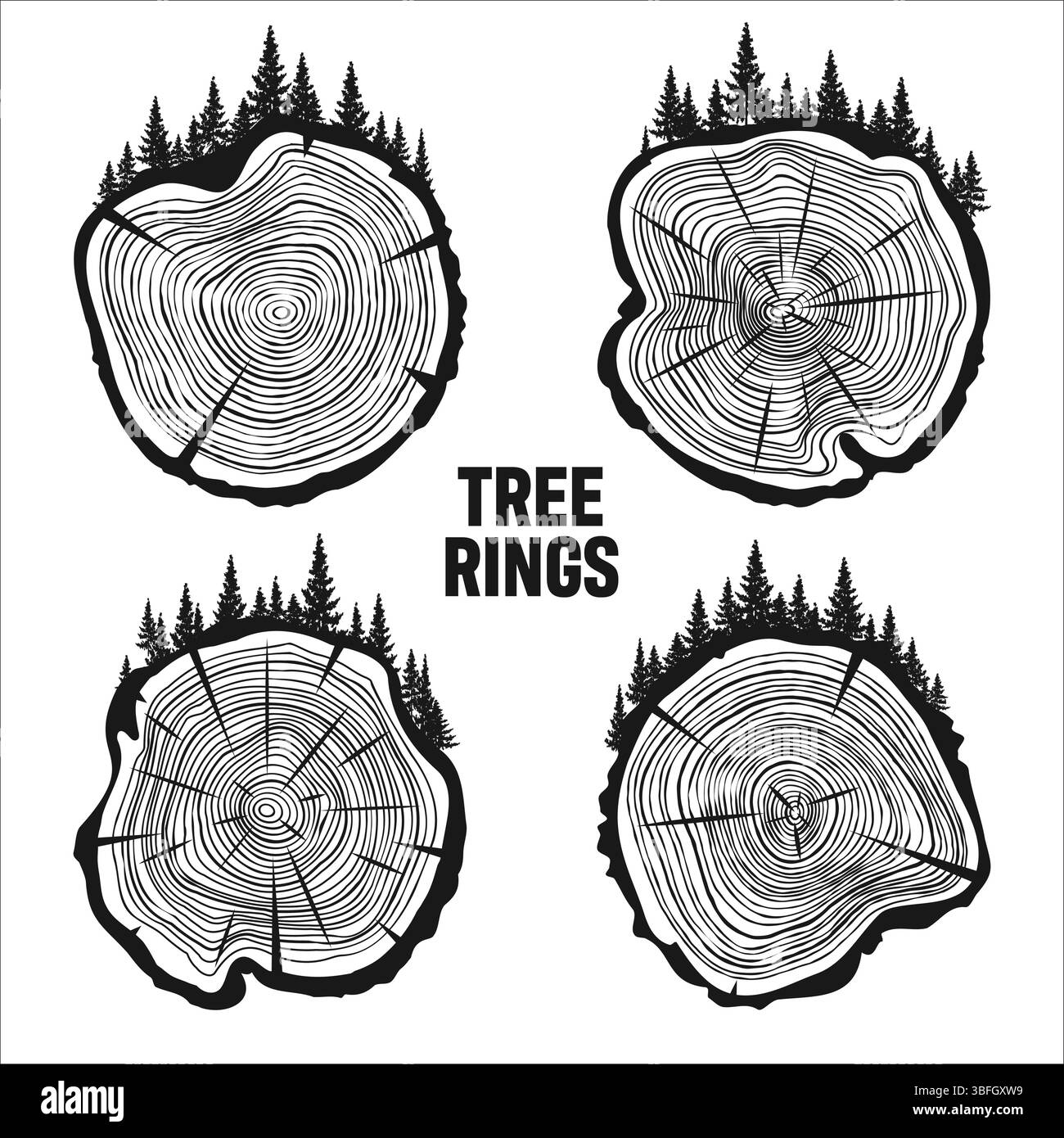 Round tree trunk cuts with trees and forest. Sawn pine or oak slices ...